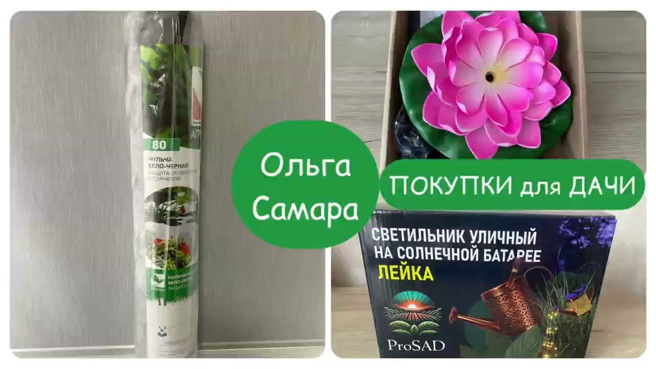 Не Реклама ❌ Саженцы роз  Декор Для Сада  Дневник Покупок  Март, 2025