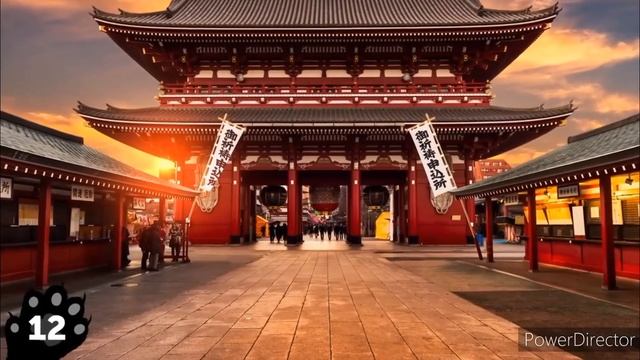 Удивительные факты о кошках