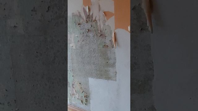 Северный 6 20210220_100928