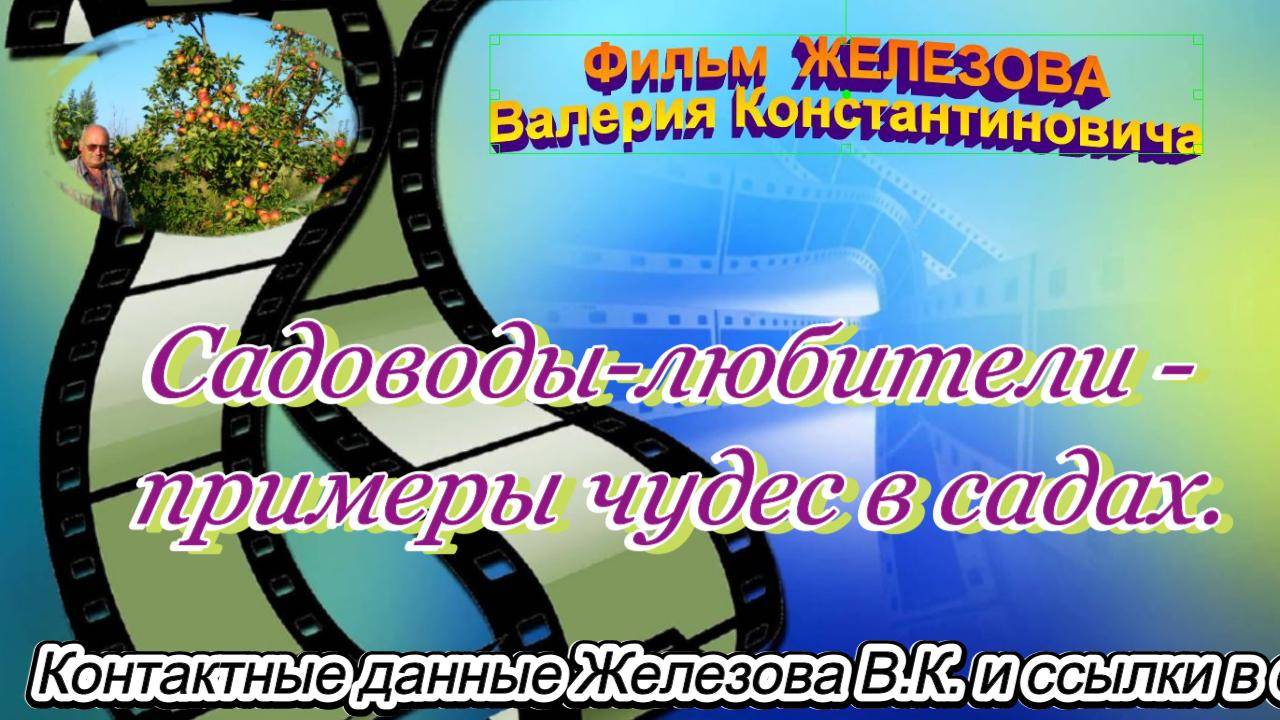 Садоводы-любители - примеры чудес в садах.