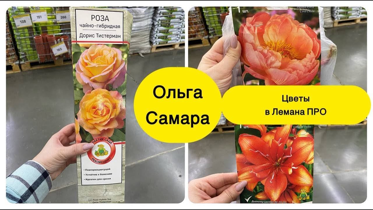 Лемана ПРО ⚠️ НОВЫЙ ЗАВОЗ  Большой обзор Цветов Февраль, 2025