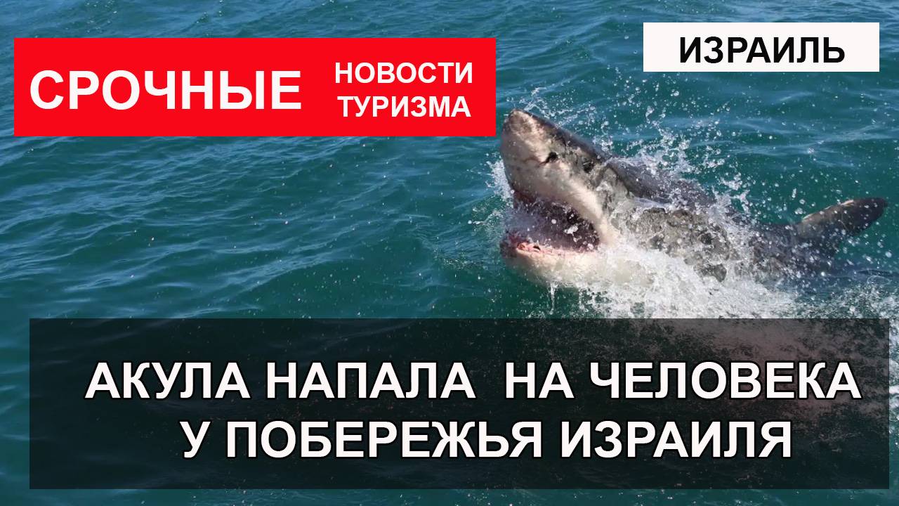 АКУЛА НАПАЛА НА ЧЕЛОВЕКА НА ПЛЯЖЕ ИЗРАИЛЯ