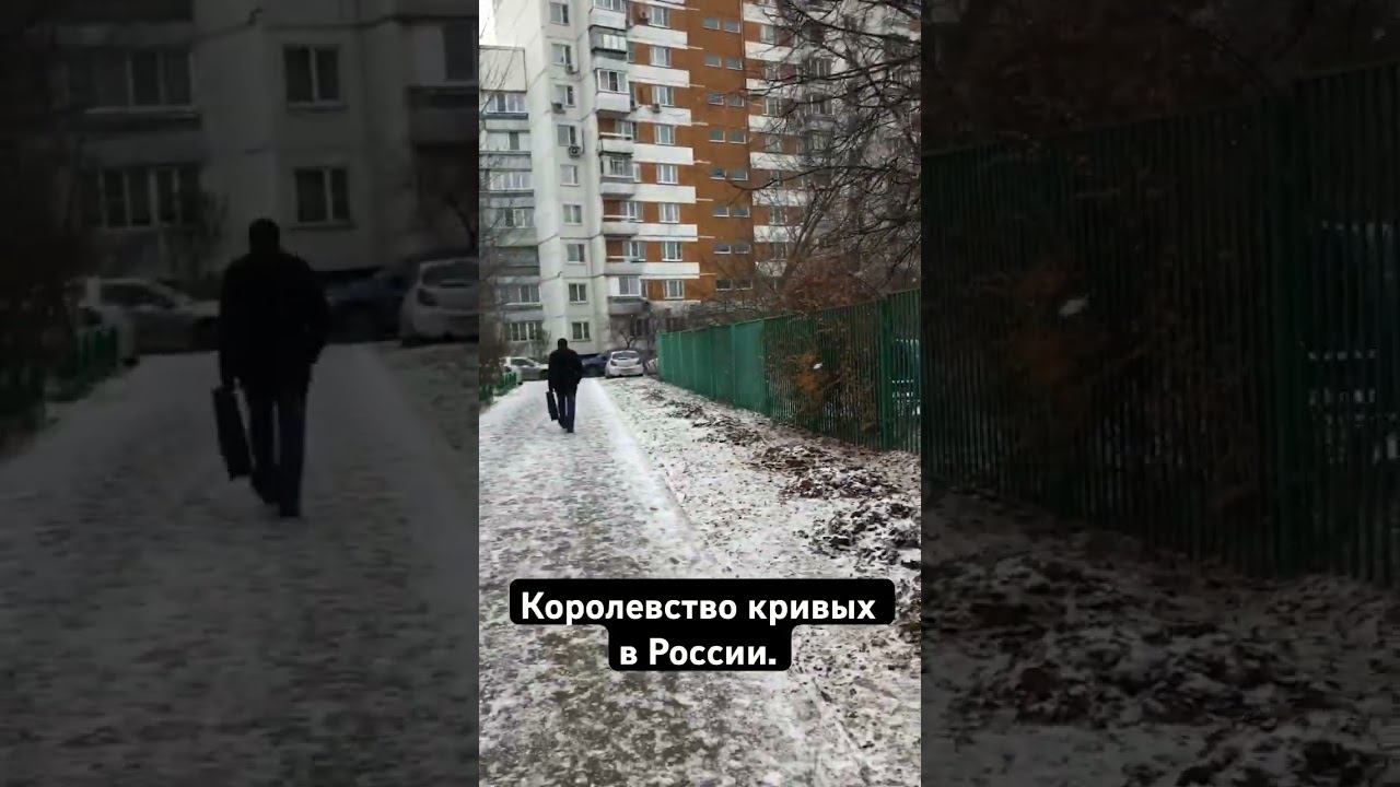 Королевство кривых 20.11.2023