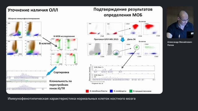 Иммунофенотипическая характеристика нормальных клеток костного мозга. Александр Михайлович Попов