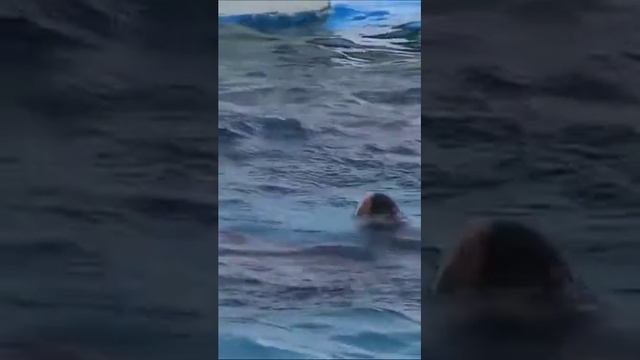 Любовь и дружба