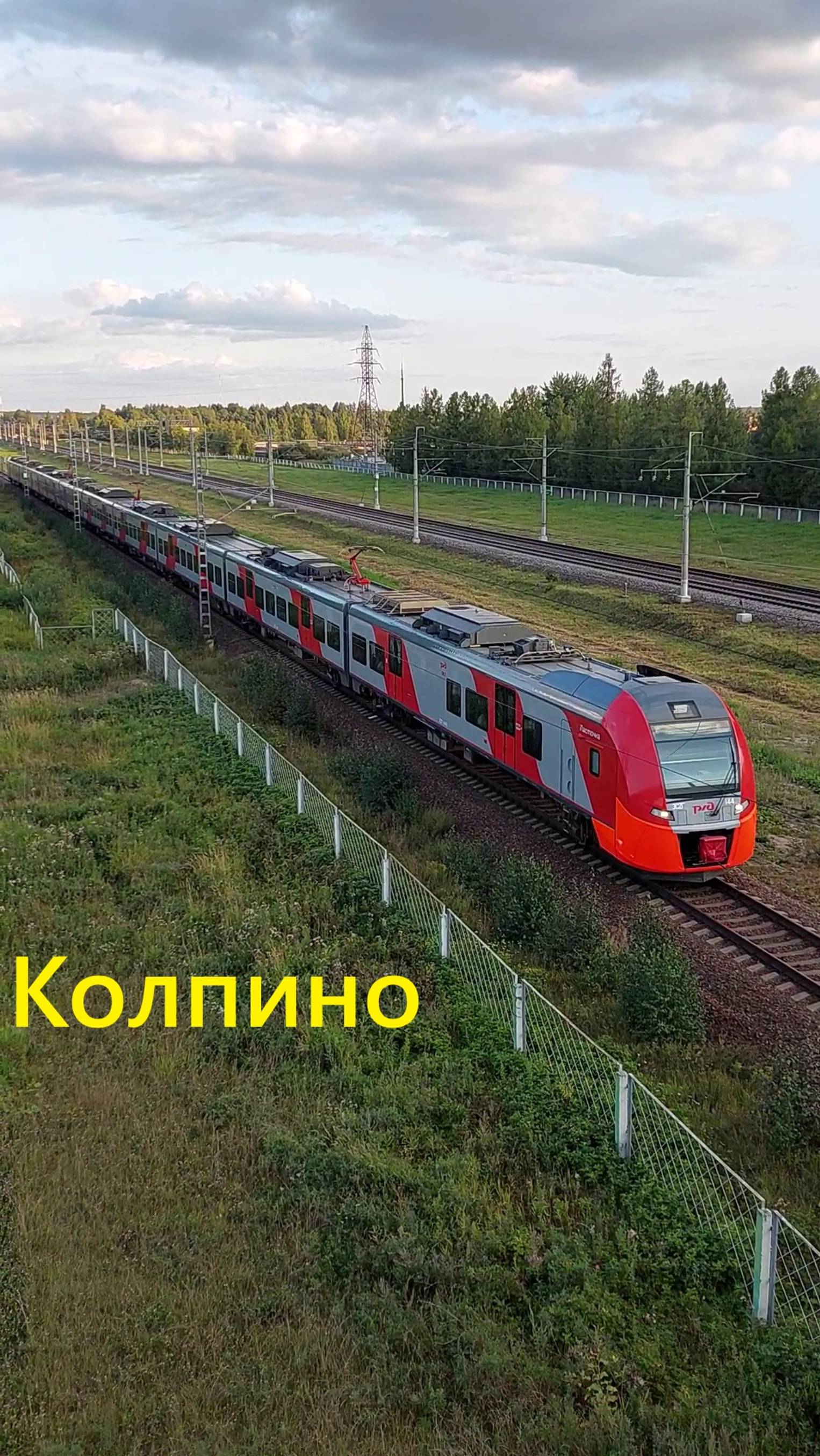 Ласточка в Колпино на Оборонной улице