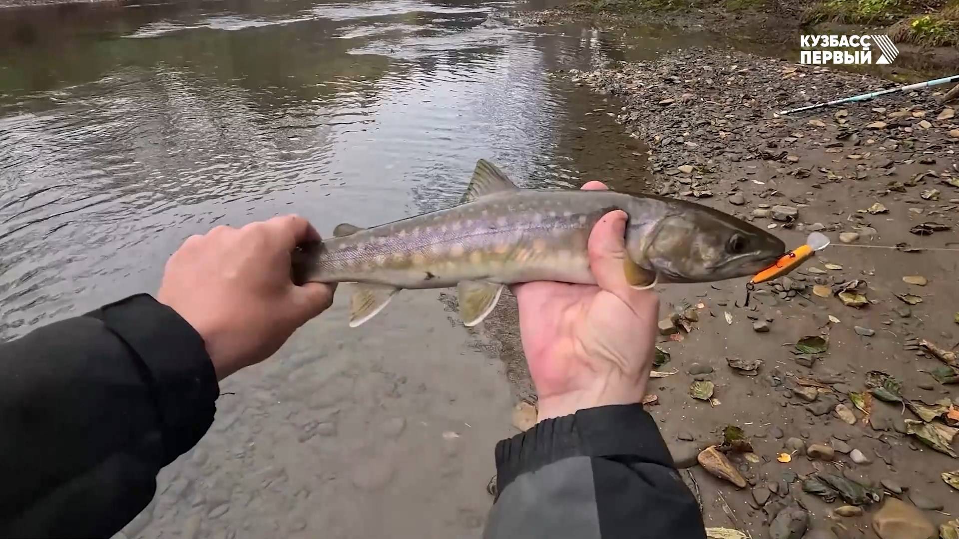 Сибирский лов. Выпуск 75