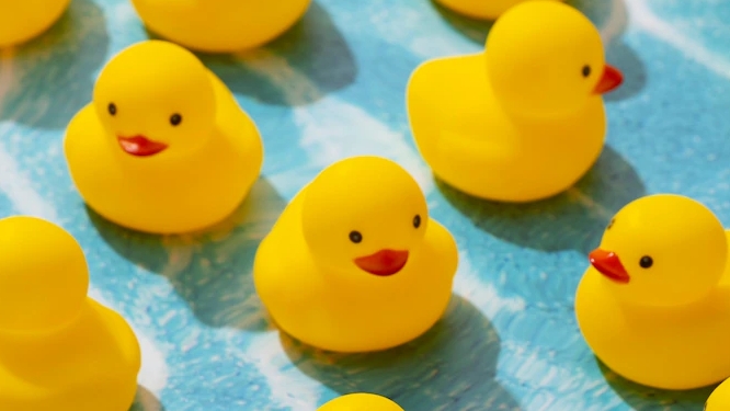 Уточки плавают