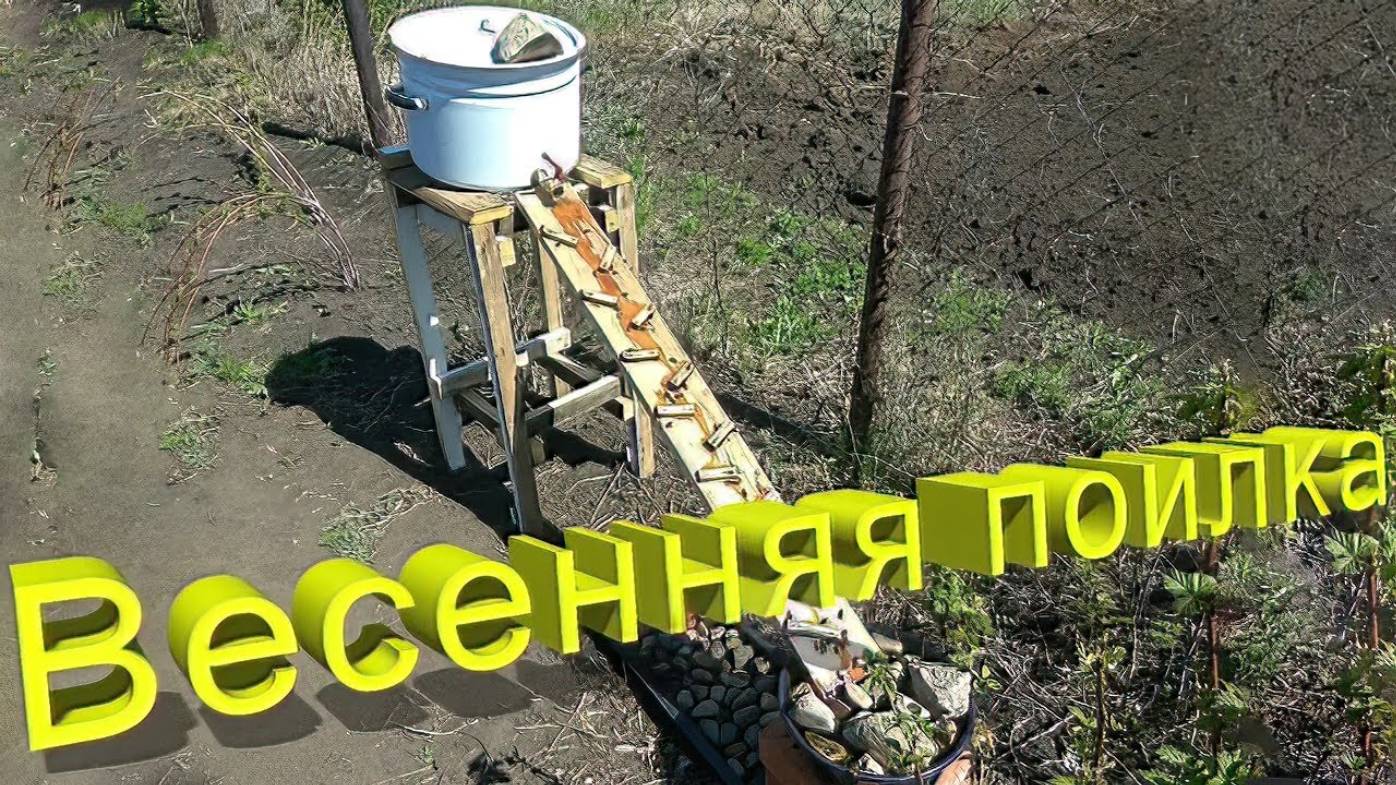 Профессор Кашковский про весеннюю поилку для пчёл