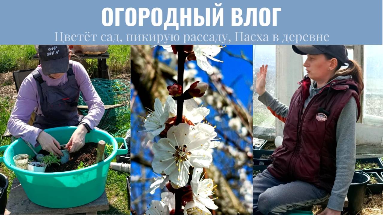 Весенний огородный влог: пикировка рассады и цветущий сад на Пасху в деревне 🌿