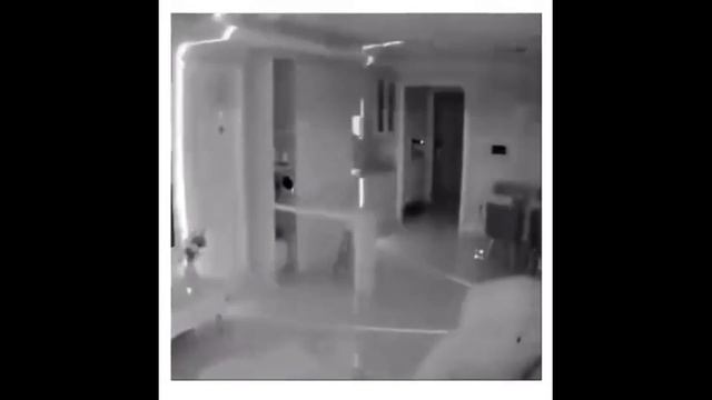 Не двигайся - нас заметили