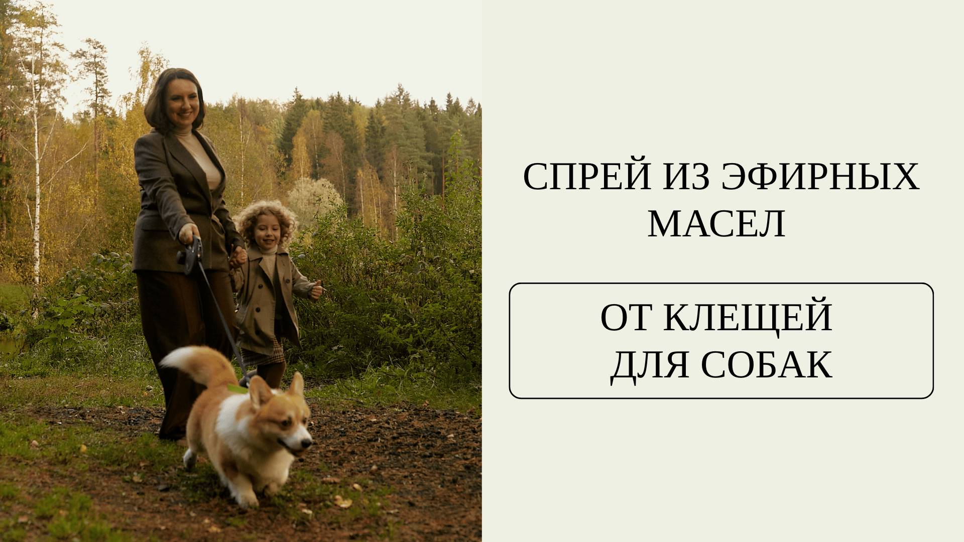 СМЕСЬ ОТ КЛЕЩЕЙ ДЛЯ СОБАК