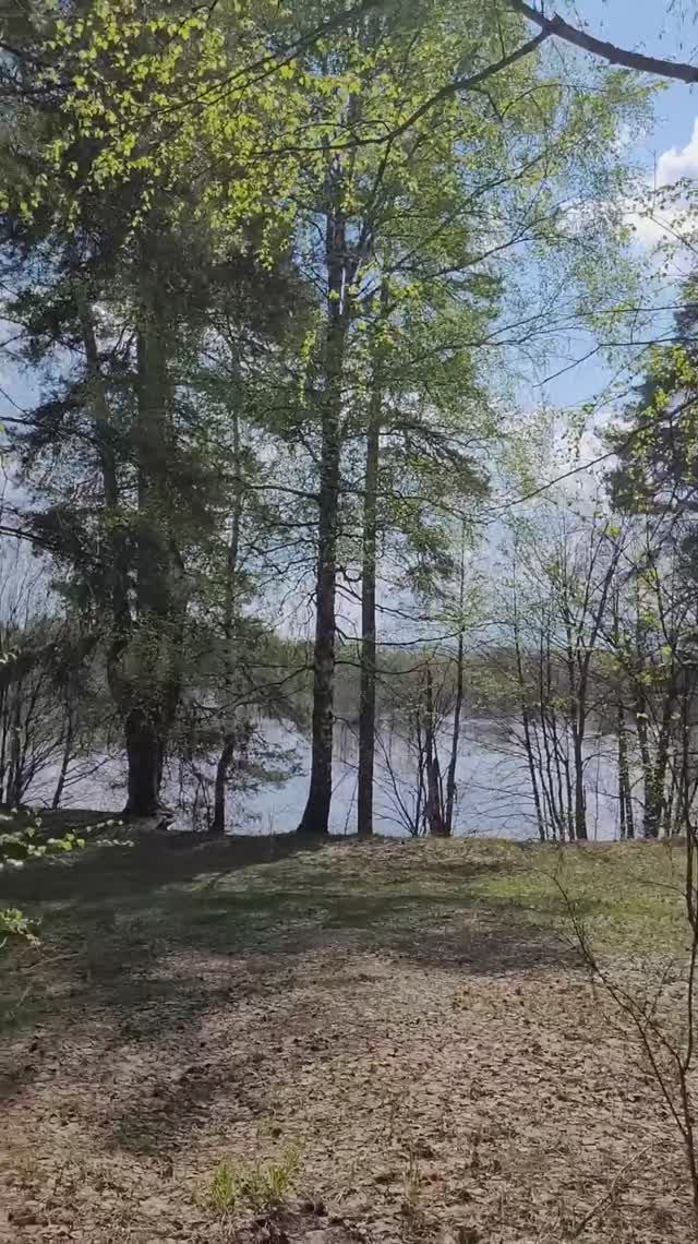 База отдыха «Щукино»: мы за чистоту!