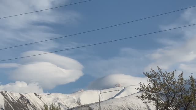 Апрельский снег - красота и печаль
