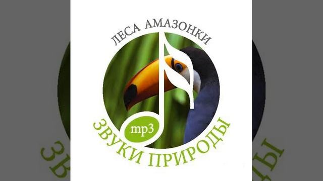 Звуки природы. Леса Амазонки.
