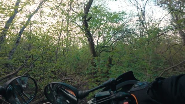 Лайт эндуро. Армянский лес.