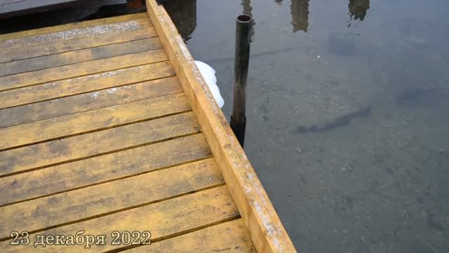 Понтонный мостик в парке Зверинец.