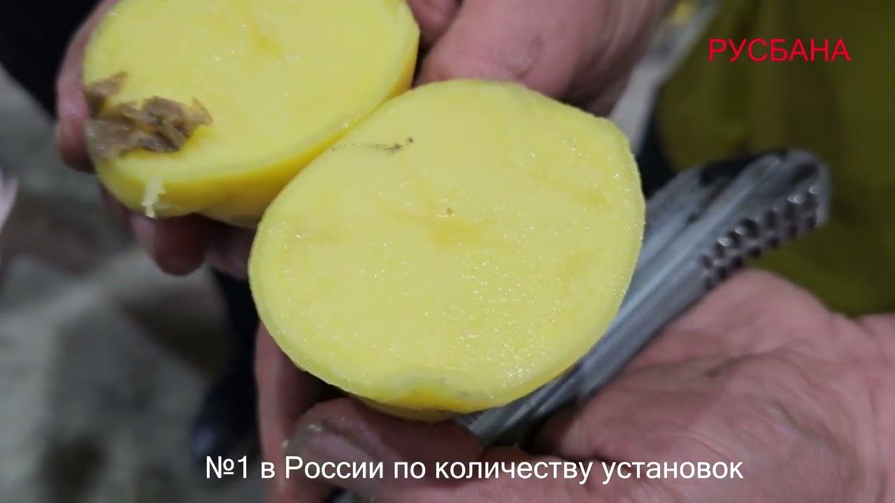 Паровые чистки № 1 в России для корнеплодов от 1,5 до 32 т/час