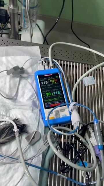 Самый стабильный и удобный в работе ветеринарный монитор пациента