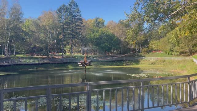 Парк. В сентябре. Город Партизанск. Приморье.