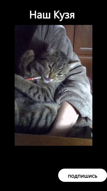 Это мой Кузя