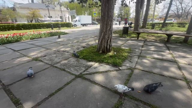 Я ехала домой из Пятигорска в Краснодар