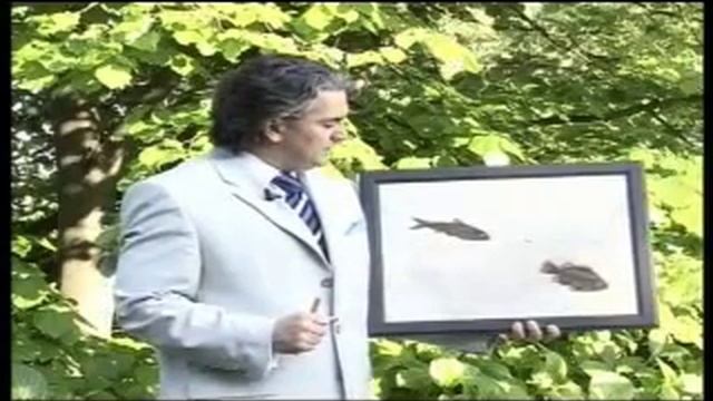 теория Дарвина