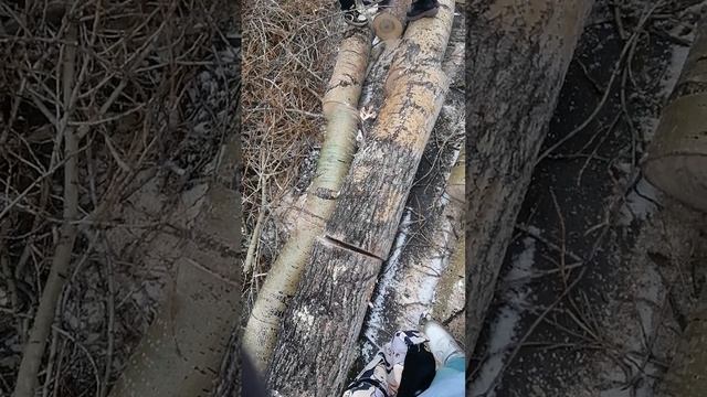 Пркур на улице