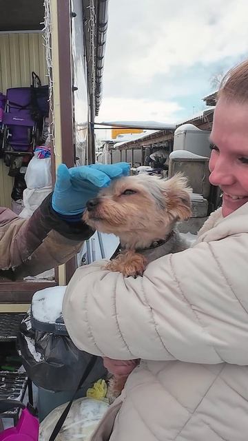 Полтора года не обращали внимания на неё...Анонс!