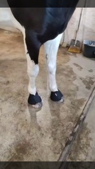 Колокольчики из неопрена