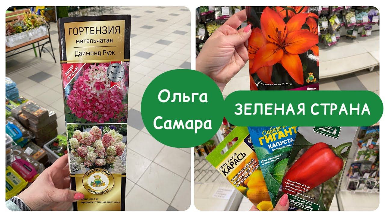 СЕМЕНА Овощей и САЖЕНЦЫ Многолетних растений в “Зеленой СТРАНЕ»☘️Большой Обзор товаров для сада⛲️