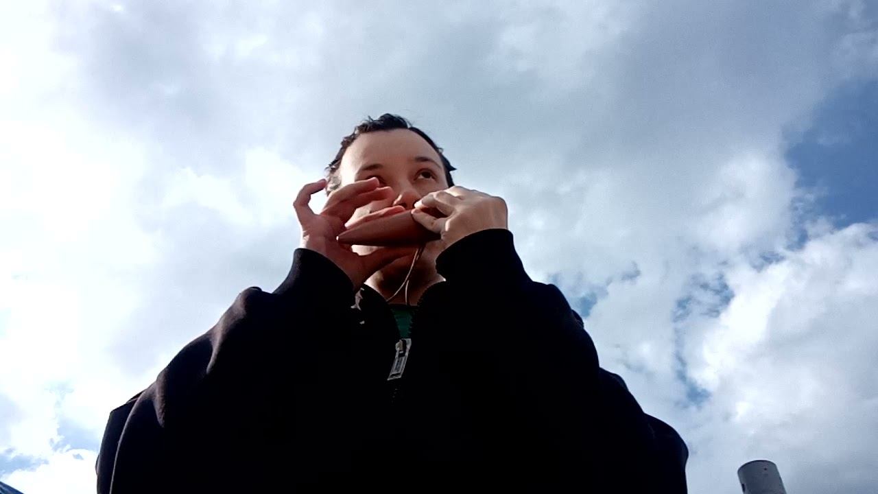 Scarborough fair на окарине (ICO alto C)