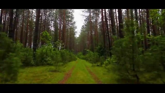 «Bajaj Dominar 400: 7 Одиссеев от Африки до Гималаев. Путешествие за гранью карт»