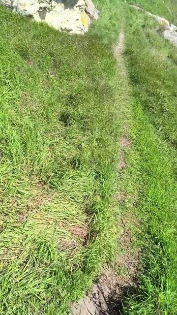 Древнее городище Ак-Кая, Белая Скала. Крым.