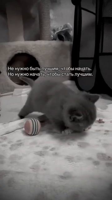 Главное - начать