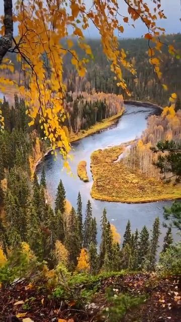 #НовосибирскаяОбласть_Бердские скалы - экологический парк в Новосибирской области