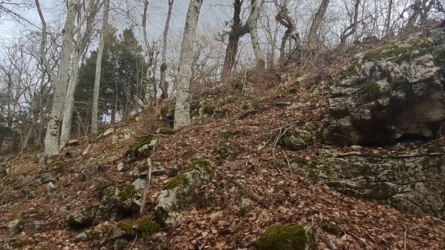 Тисовое Ущелье Чатыр Дага