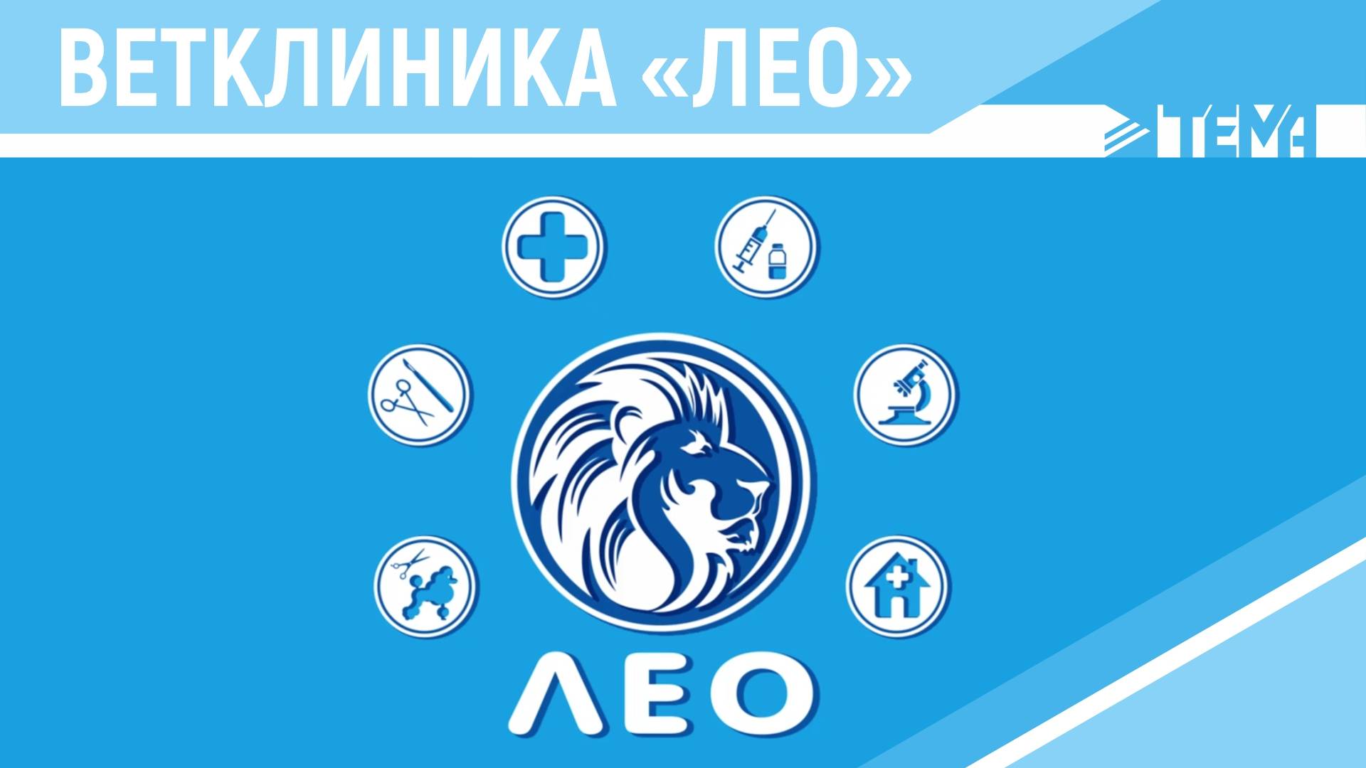 Ветеринарная клиника "Лео"