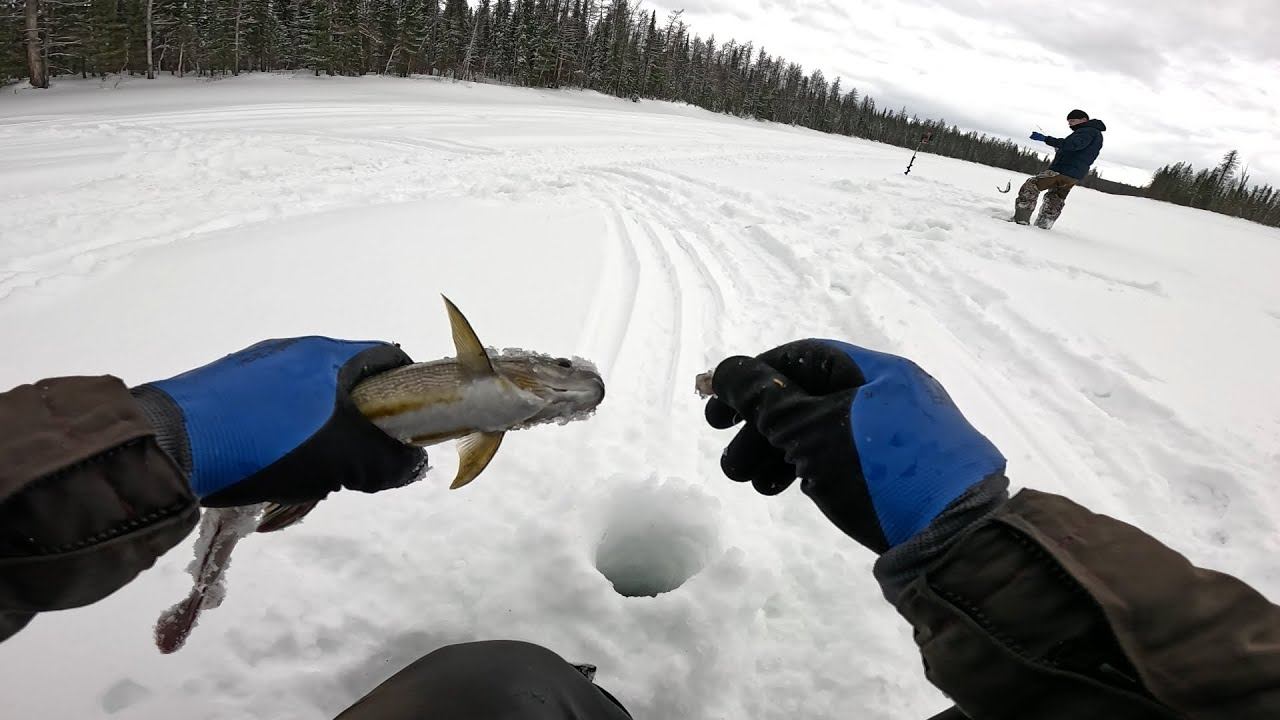 ЕЩЕ ОДИН ВЫЕЗД ЗА ХАРИУСОМ | ДЕНЬ ПЕРВЫЙ
