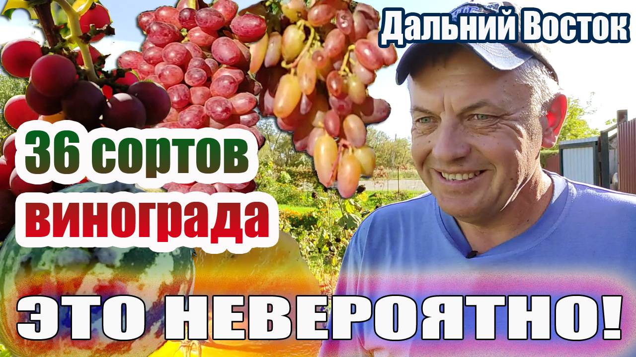 ВЛАДИВОСТОК / ЧТО МОЖНО ВЫРАСТИТЬ НА ДАЛЬНЕМ ВОСТОКЕ / 7 ЧАСТЬ