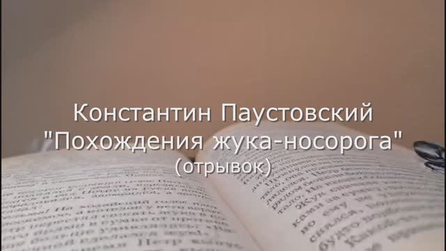 Паустовский К. "Похождения жука-носорога" Читает Черников Сергей