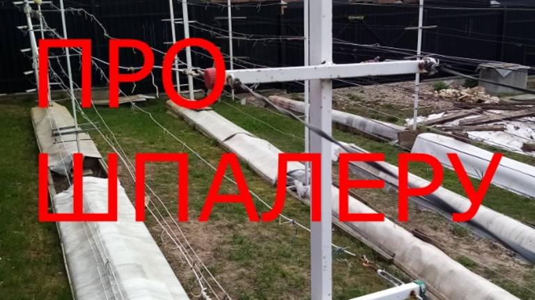 ПРО ШПАЛЕРУ.
