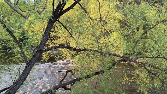 Подмосковные вечера🤗.