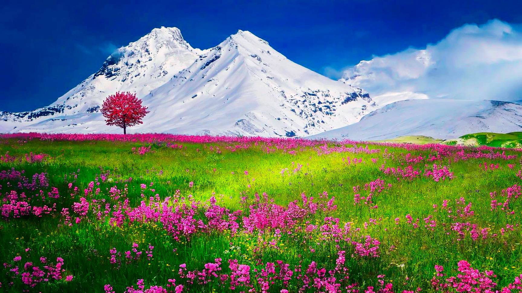 🌿 НЕВЕРОЯТНО КРАСИВАЯ РЕЛАКС МУЗЫКА ДЛЯ ДУШИ! 🎵 УСПОКАИВАЮЩАЯ РЕЙКИ МУЗЫКА ДЛЯ СНА И МЕДИТАЦИИ