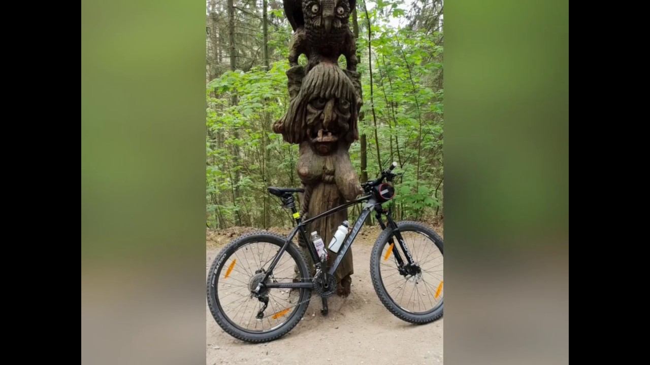 Author Traction 27'5 2018