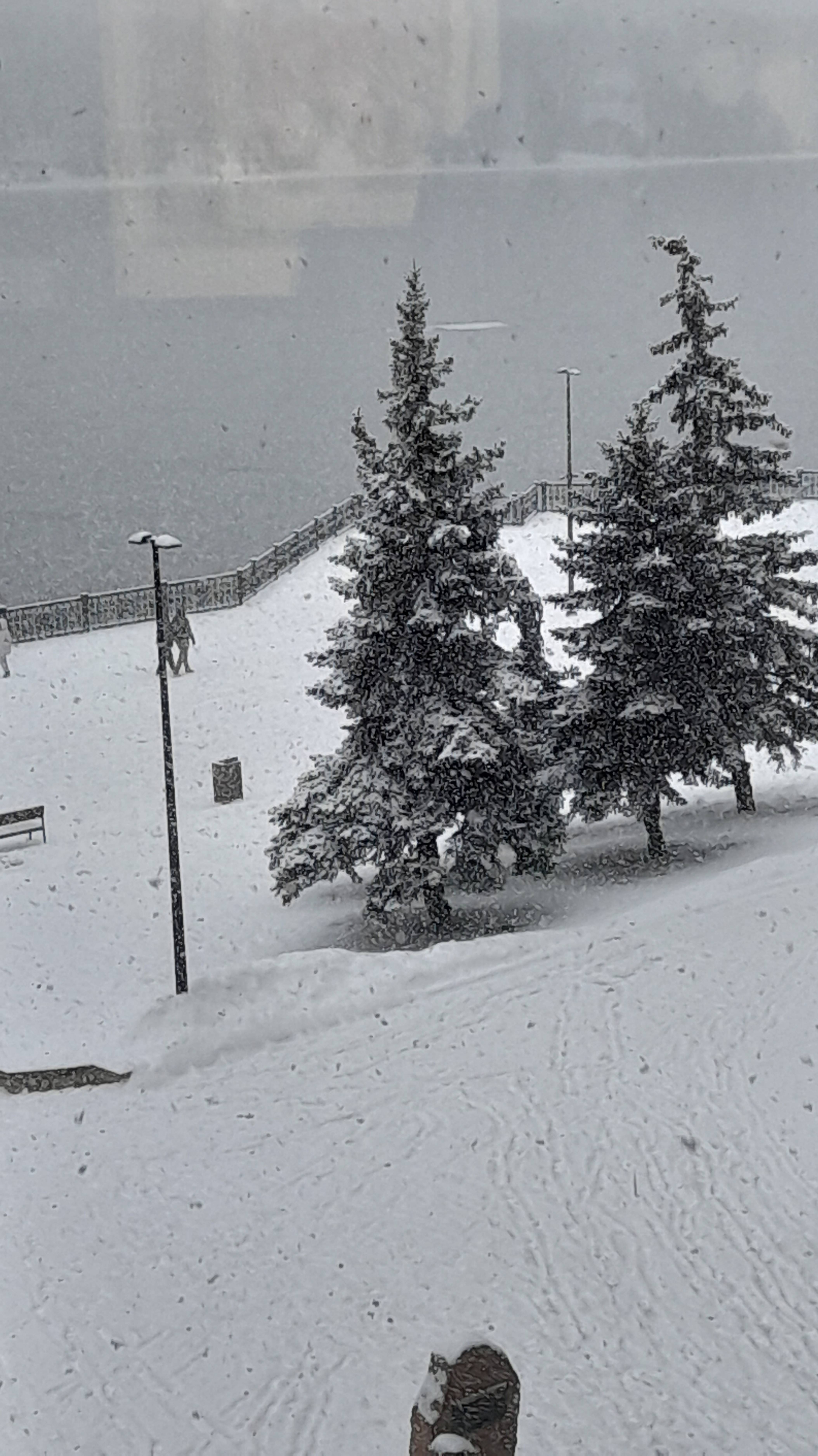 20250423_102528_001 Пою в пути. Утро туманное