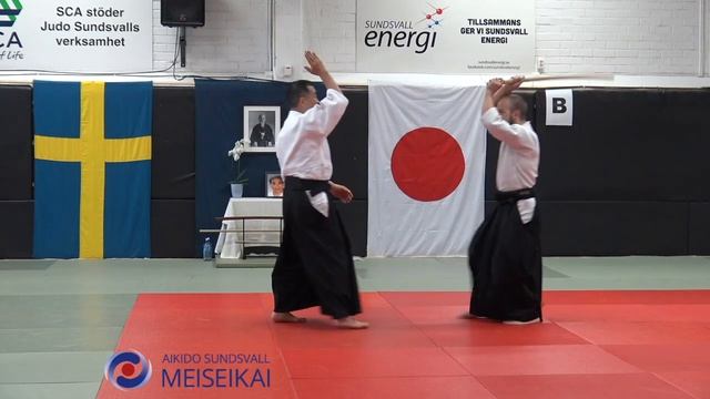 9 Aikido Tachidori Kokyonage Shishiya Sensei, Sundsvall 2017