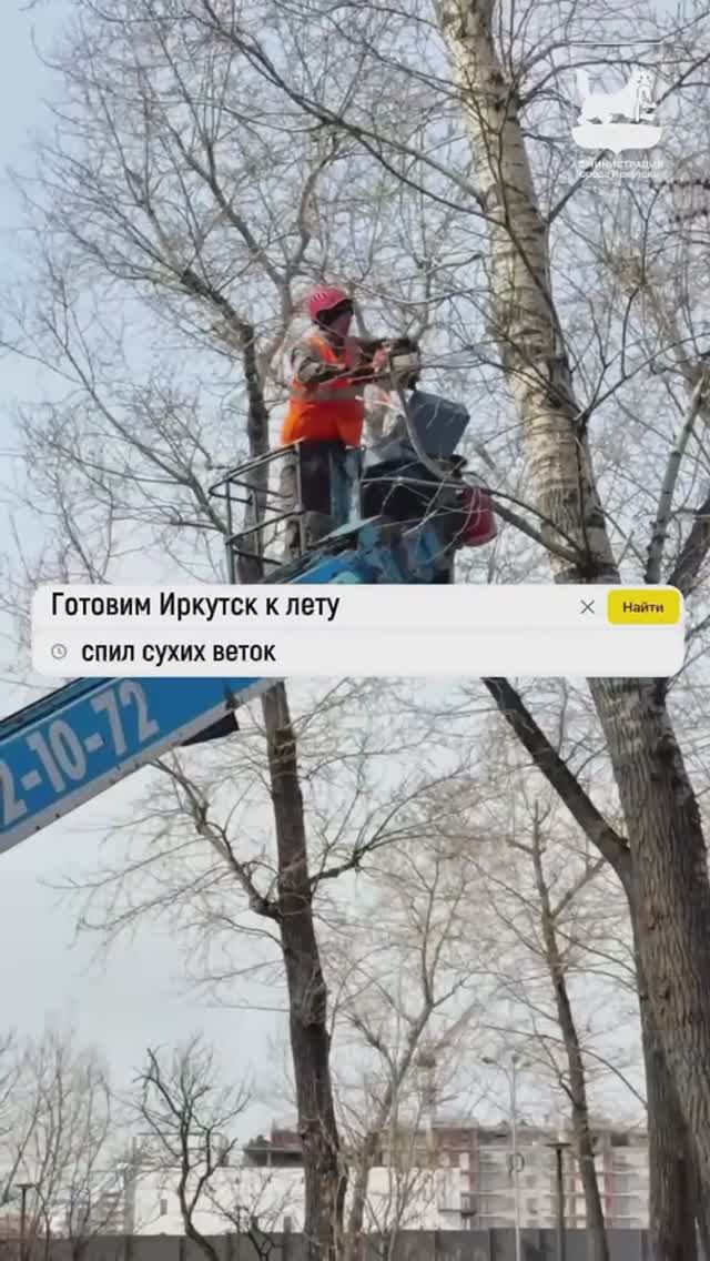 #Готовим_Иркутск к лету - обрезка деревьев.