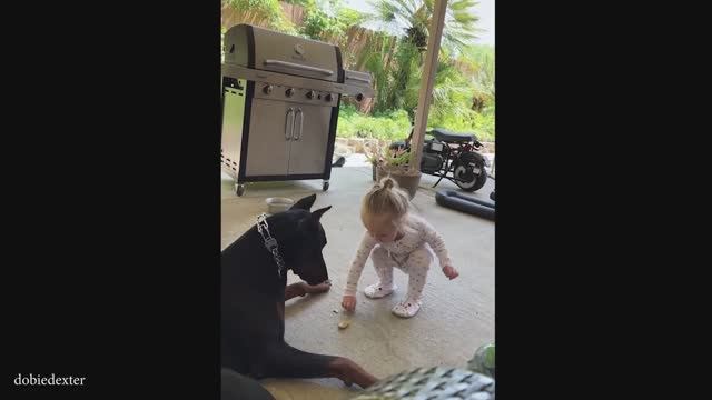 САМОЕ СМЕШНОЕ Малыш и доберман делают все вместе! ❤️