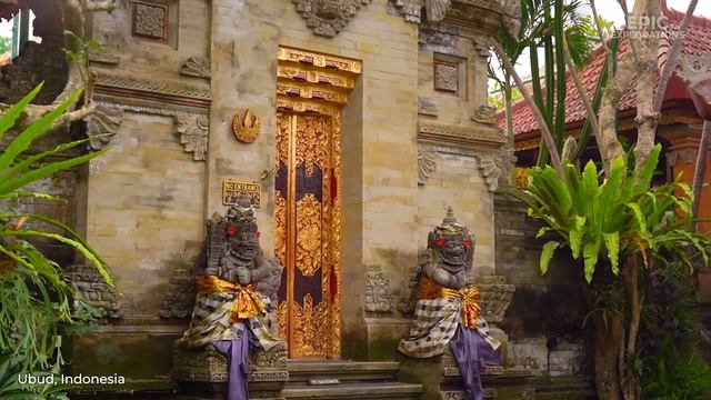 МЕСТА на ЗЕМЛЕ | Самые красивые места на Земле | Лесные царства и живописные виды | ПОЛНЫЙ ВЫПУСК